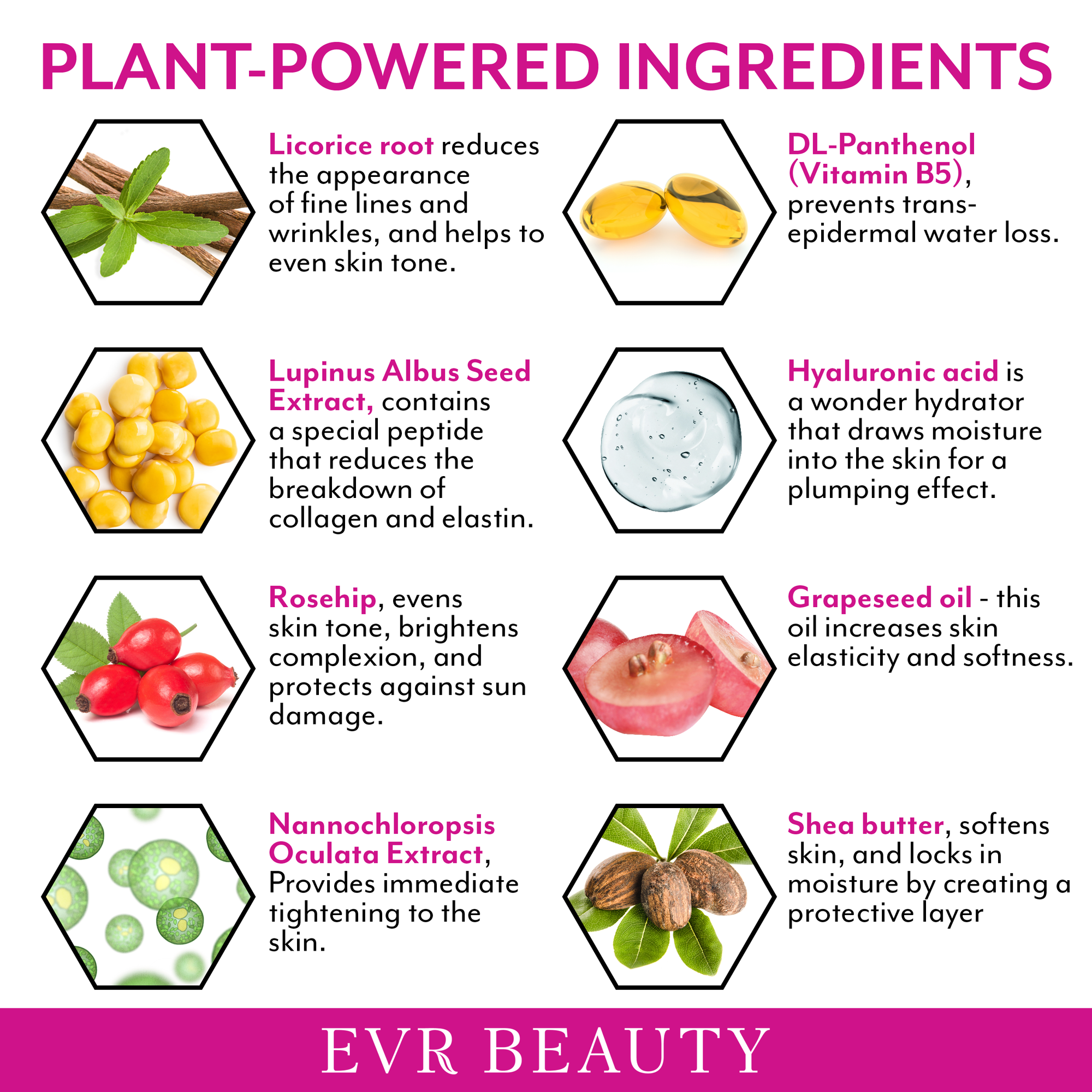 Neck Firming Triple Action Collagen Cream – EVR Beauty